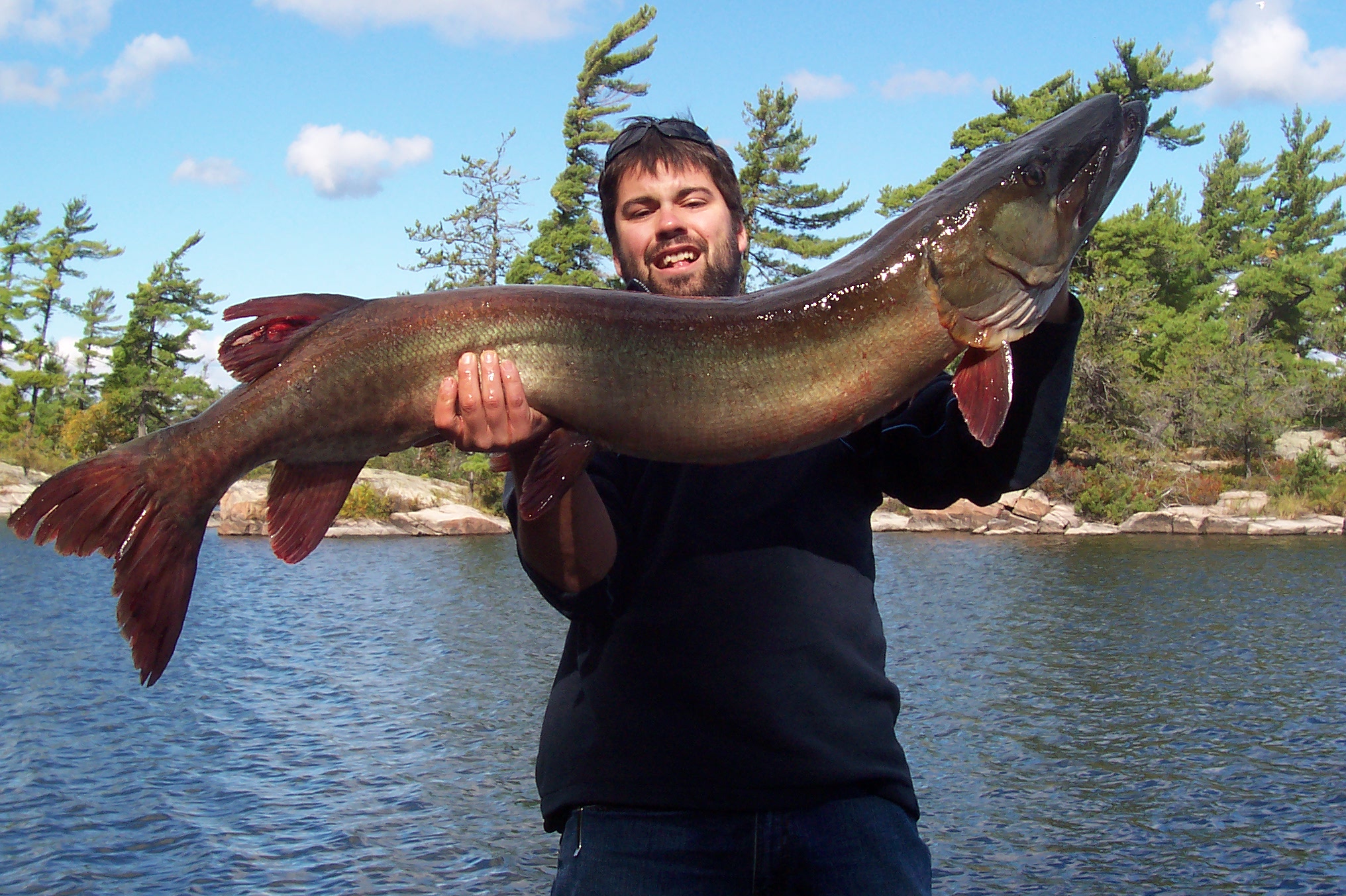 Big muskie caught on Upper French River in City X, ON on 9/10/2006 ...