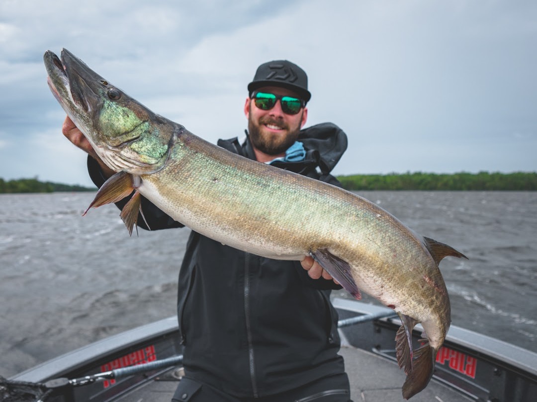 New Landmark Study of Leech Lake Muskie Launched by MN-FISH | MuskieFIRST